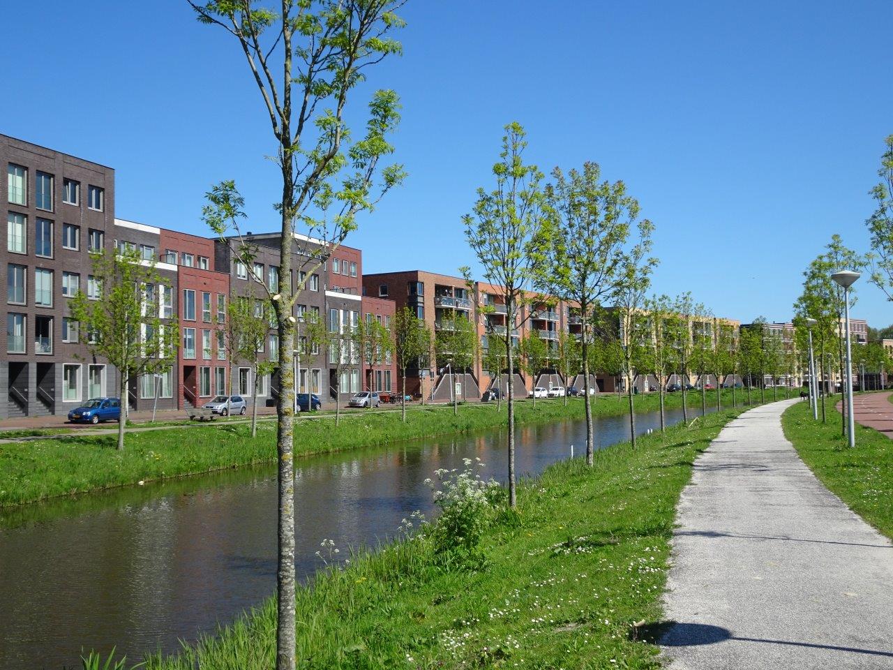 Elzenhagensingel